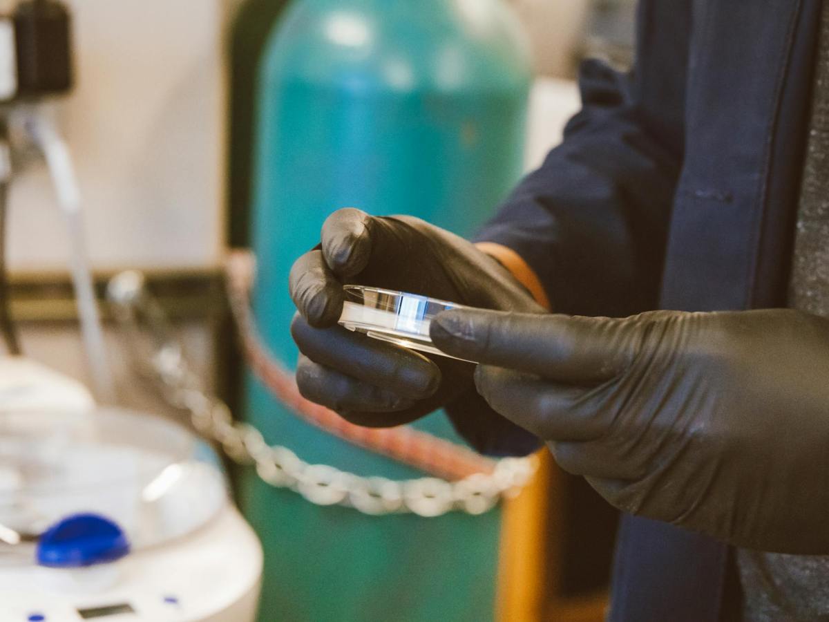 Blog Posts – Chipress